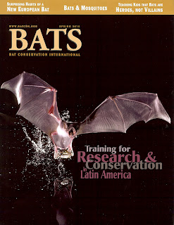 The Bat Doctor: Dr. Austin's IL bat presentations were recently ...