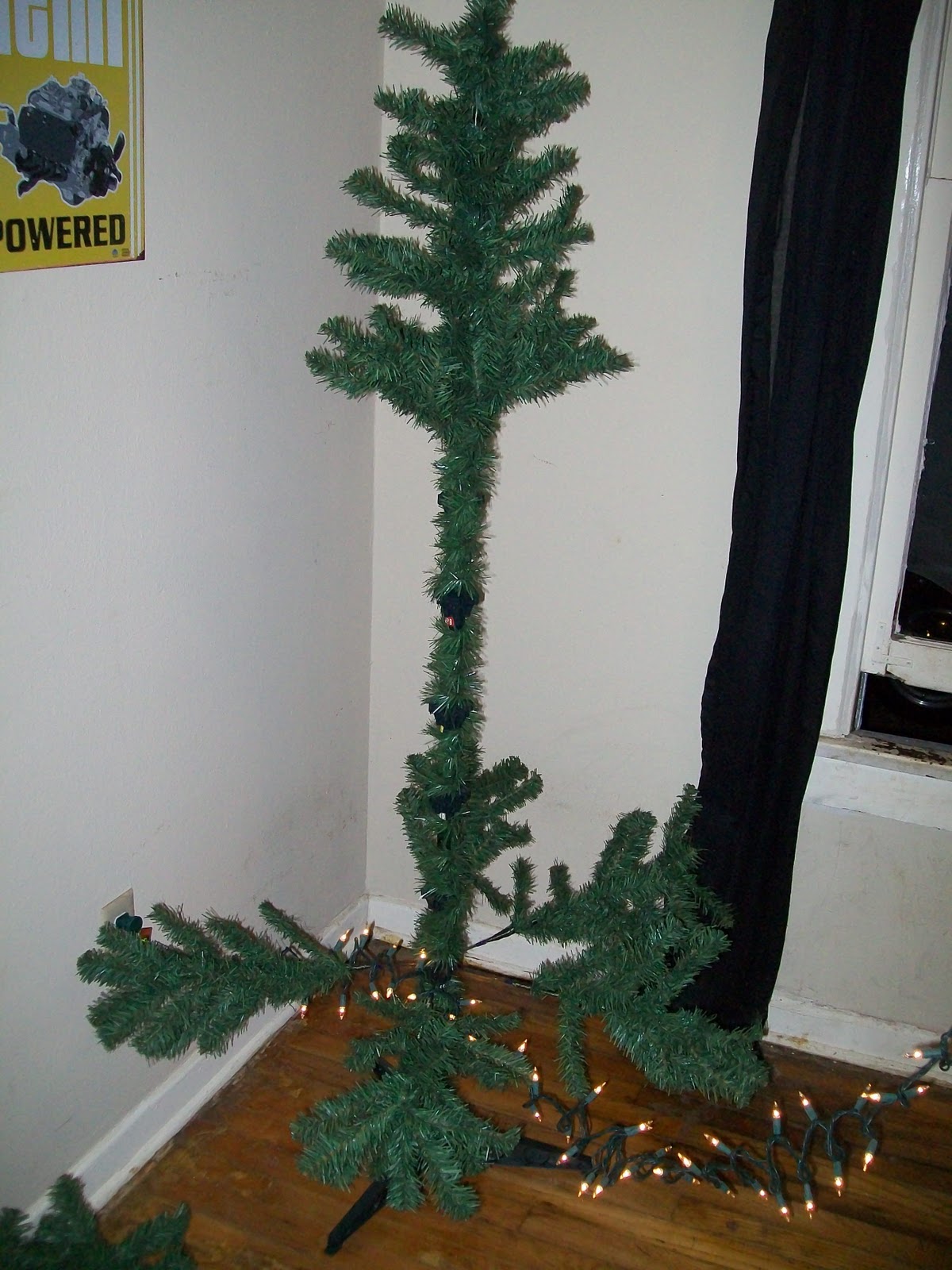 Finding Home: O Christmas Tree O Christmas Tree!