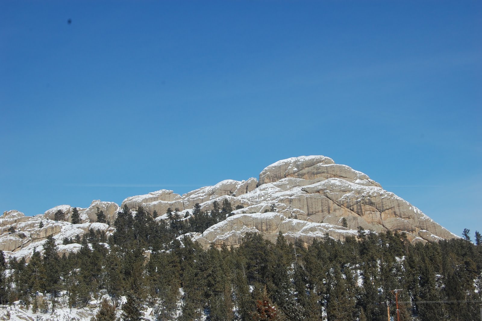 Nana Porcupine: Winter at Custer State Park. Jan 12, 2011