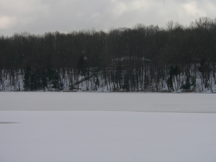 Turtle Lake Cottage - Building Our LEED/Green Home