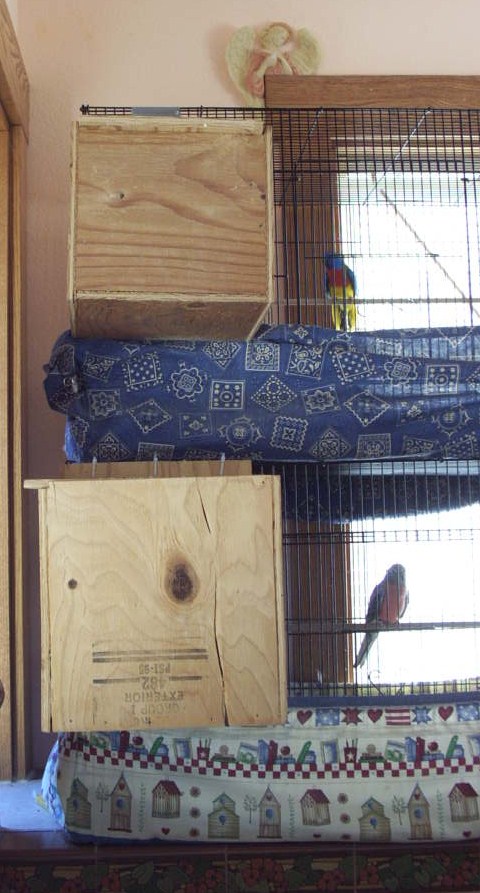The Splendid Bourke Bird Blog: A Design for Building Parakeet Nest Boxes