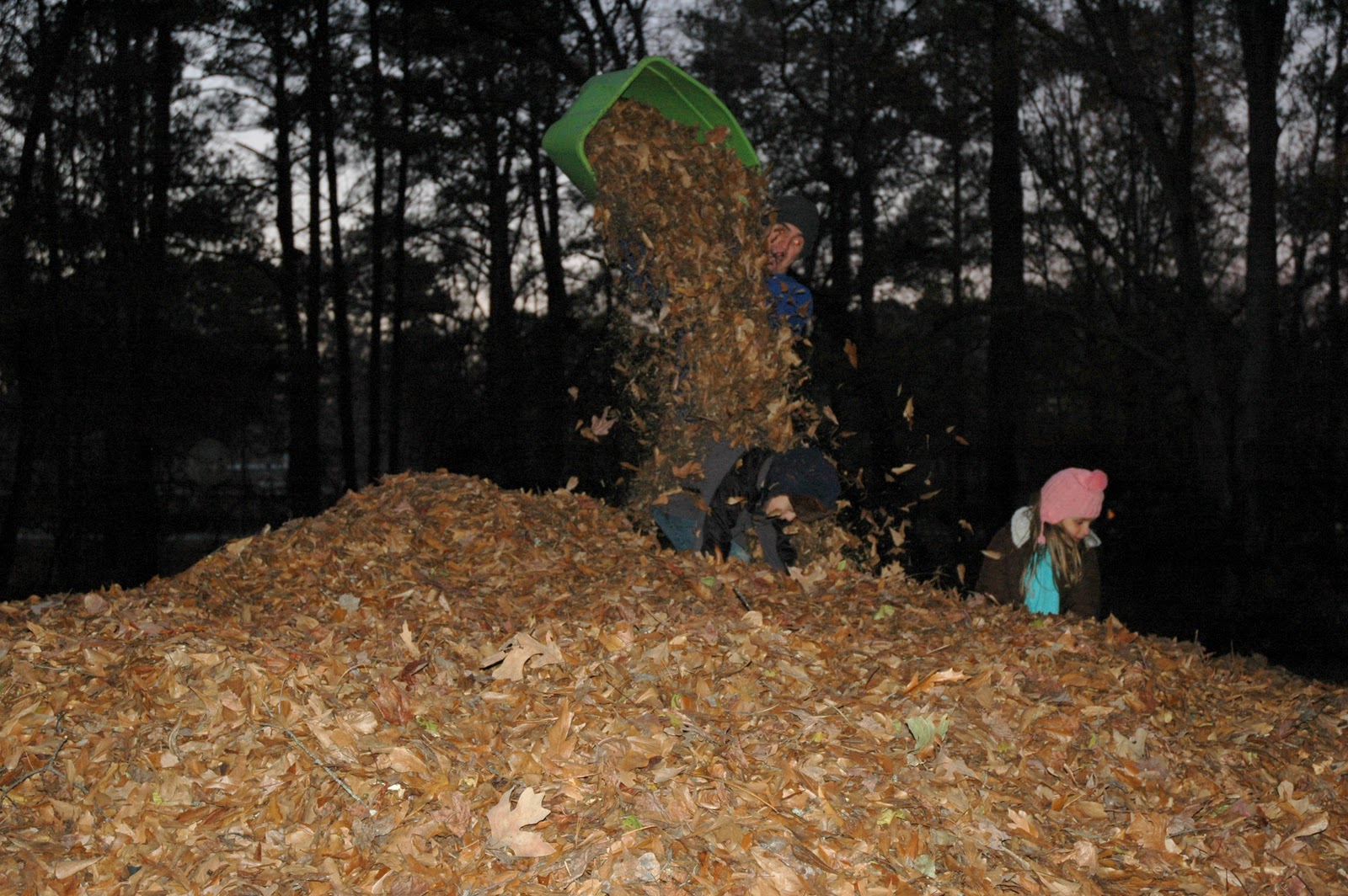 The Clarke Family: BIGGEST LEAF PILE!