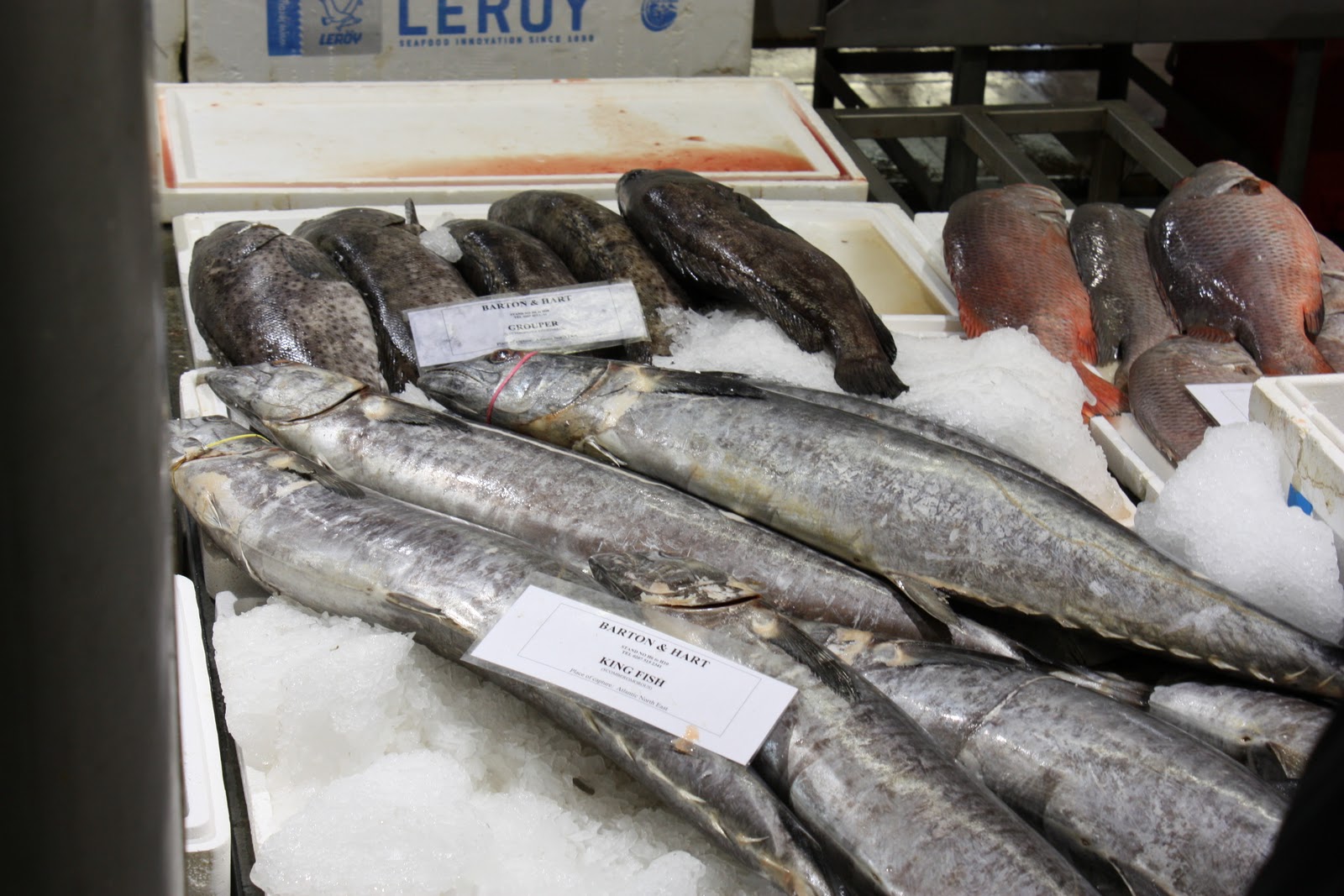 deelitefull: Deelitefull adventures - 2010 annual