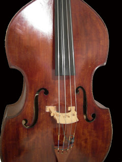 Fotografies :::.::: El meu primer contrabaix