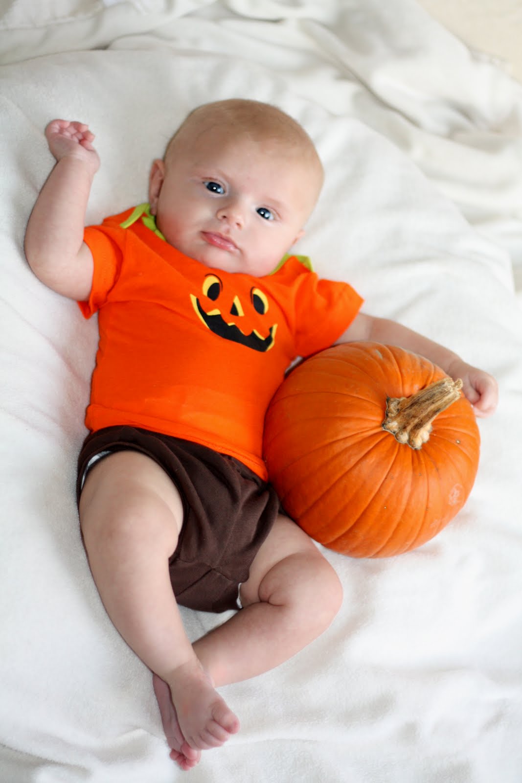 Shawna Faith Photography ~ Capturing memories to last a lifetime