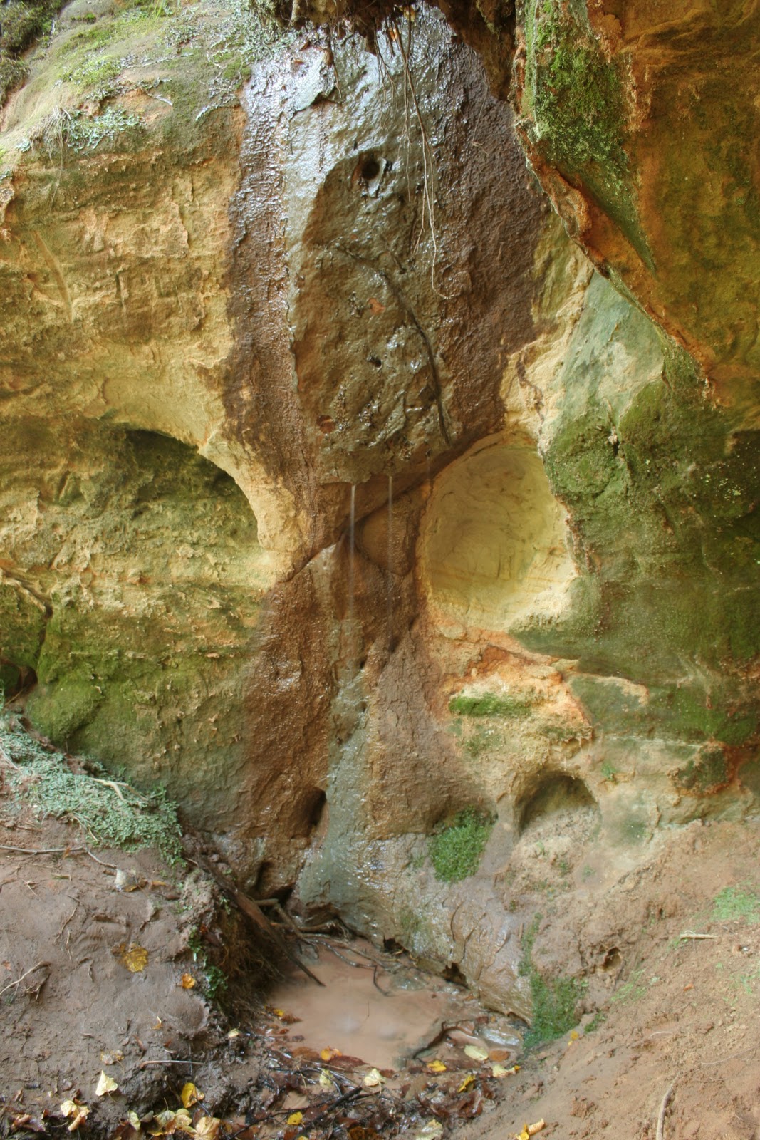 Latvijas daba: Piķenes krauja un Velnala Krimuldā