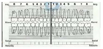 Anatomi dan Fisiologi Gigi ~ RADIODIAGNOSTIK