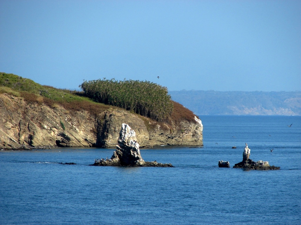 Paisajismo, pueblos y jardines: La Reserva Biológica Isla Pájaros, sus ...