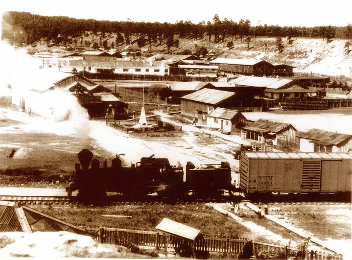 El Salto Durango: EL SALTO HACE AÑOS