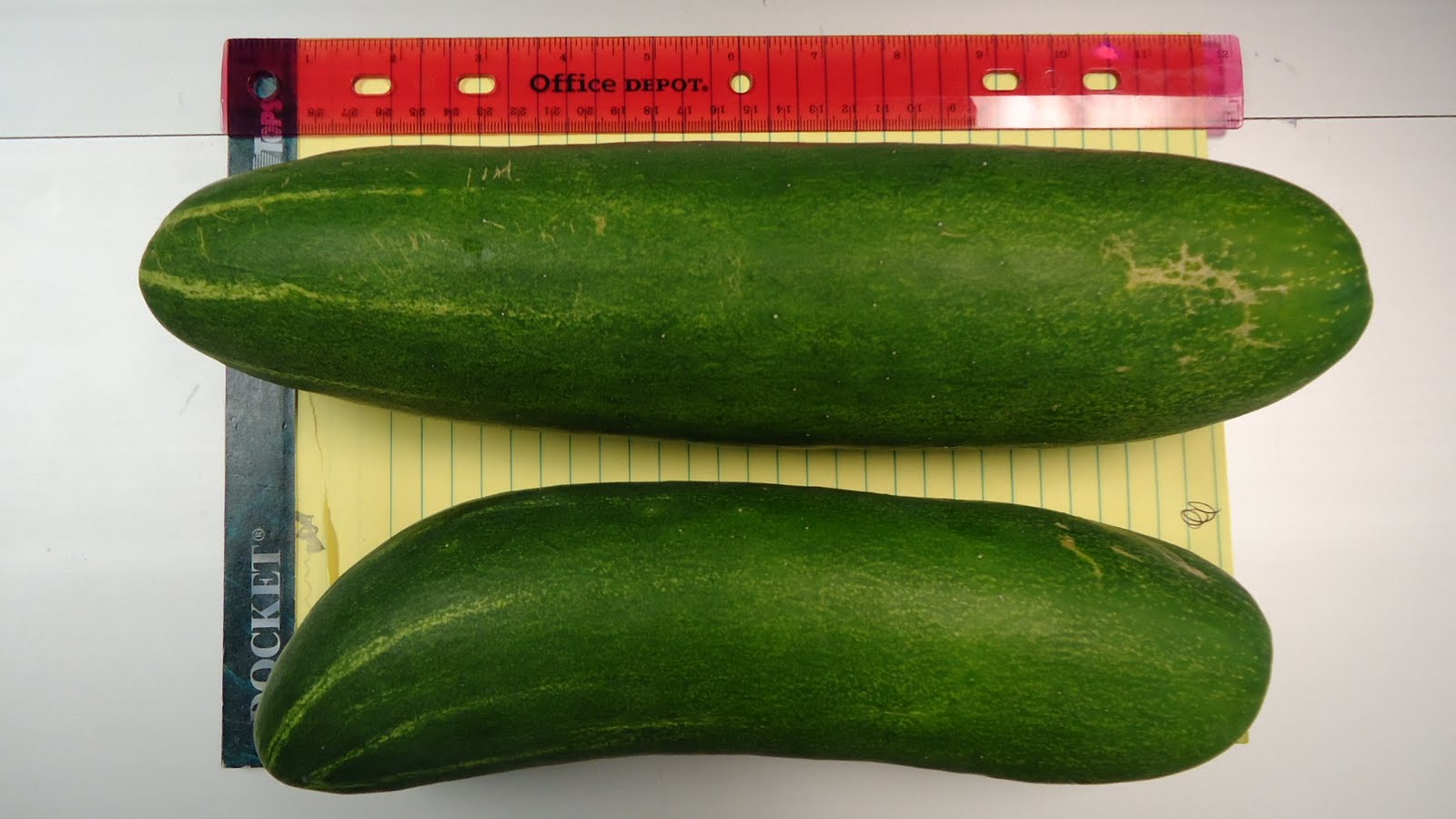 Thyme To Garden Now: Flying With A Large Cucumber