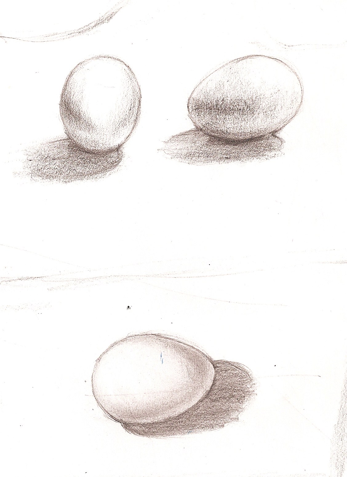 Chasing Chickens with Pencil in Hand: 2 eggs, boiled and drawn; and a ...