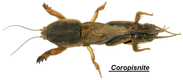 Pescuit si Momelile Naturale ale Pescarului Sportiv ~ Pescuit sportiv ...