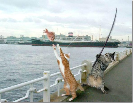 Pescuit Amator si Sfaturi pentru pescari . ~ Pescuit sportiv, pescuit ...