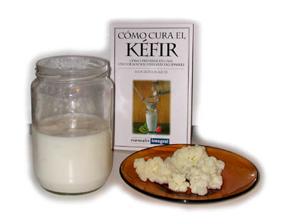 elaboracion de kefir