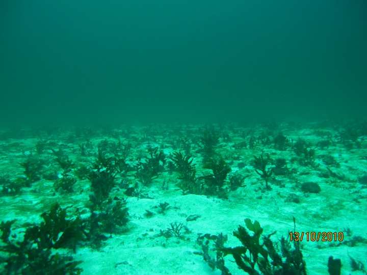 Cybercaptain: Diving Angria Bank