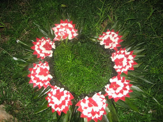 My New Lei Business: VIP Tongan Leis - Lauhala/Fa or Foam Papers