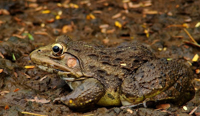 Karjat - An Excursion