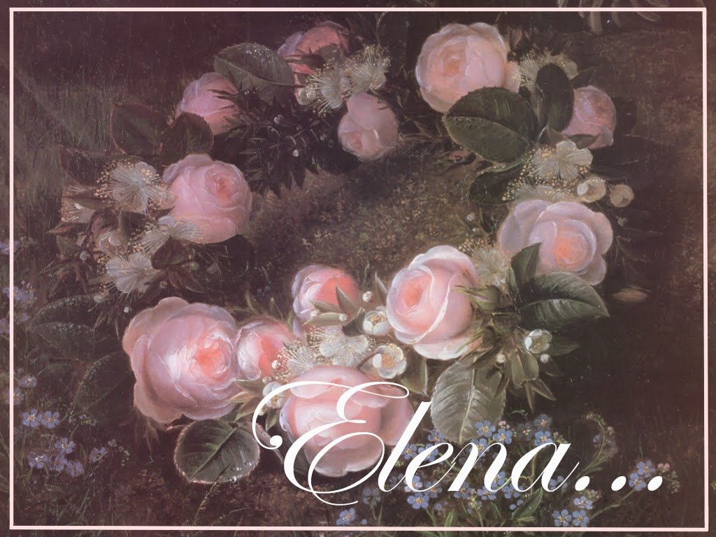 Guanaguanare: the laughing gull: For Elena And Louis