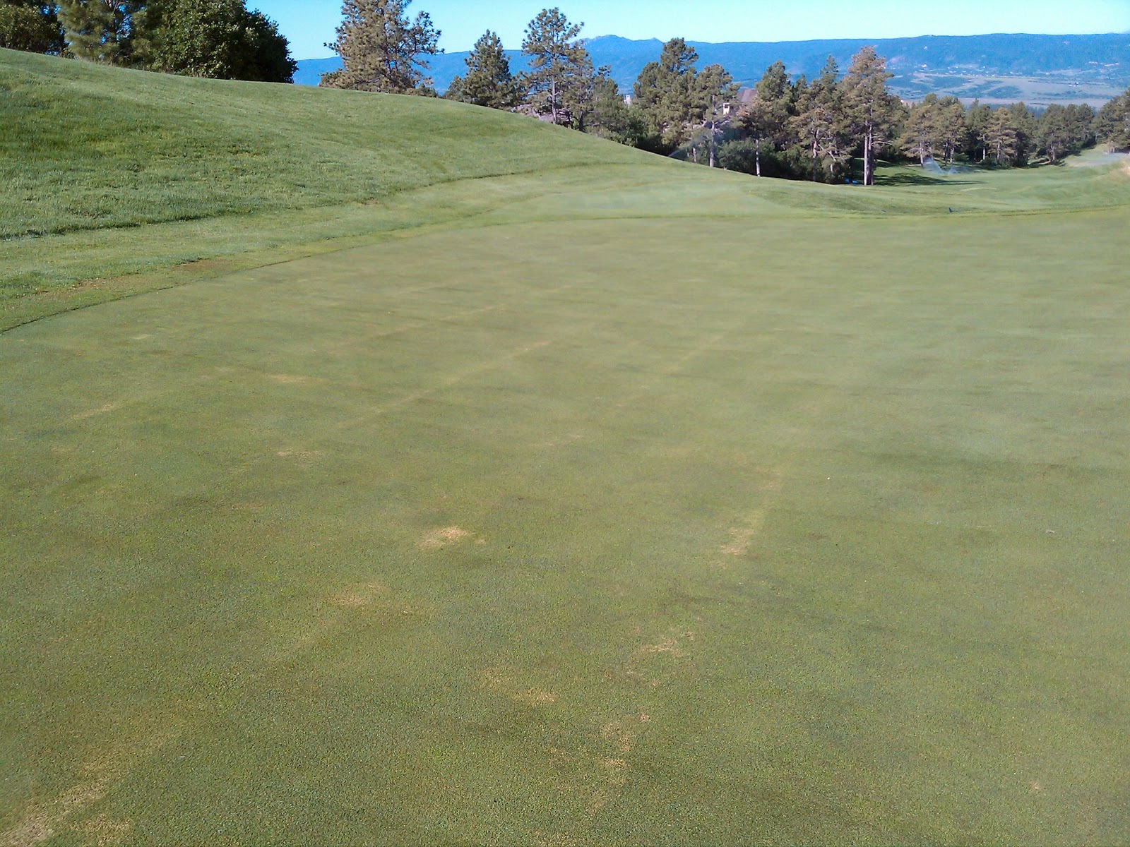 The Country Club at Castle Pines Golf Course Maintenance: Scalping