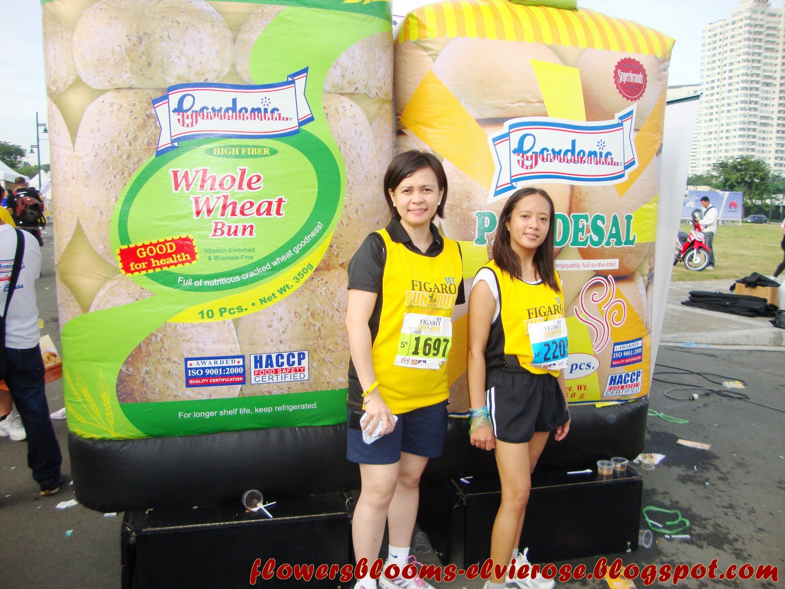 FLOWERSBLOOMS by "Elvie": FIGARO FUN RUN 2010, A Race to Save the ...