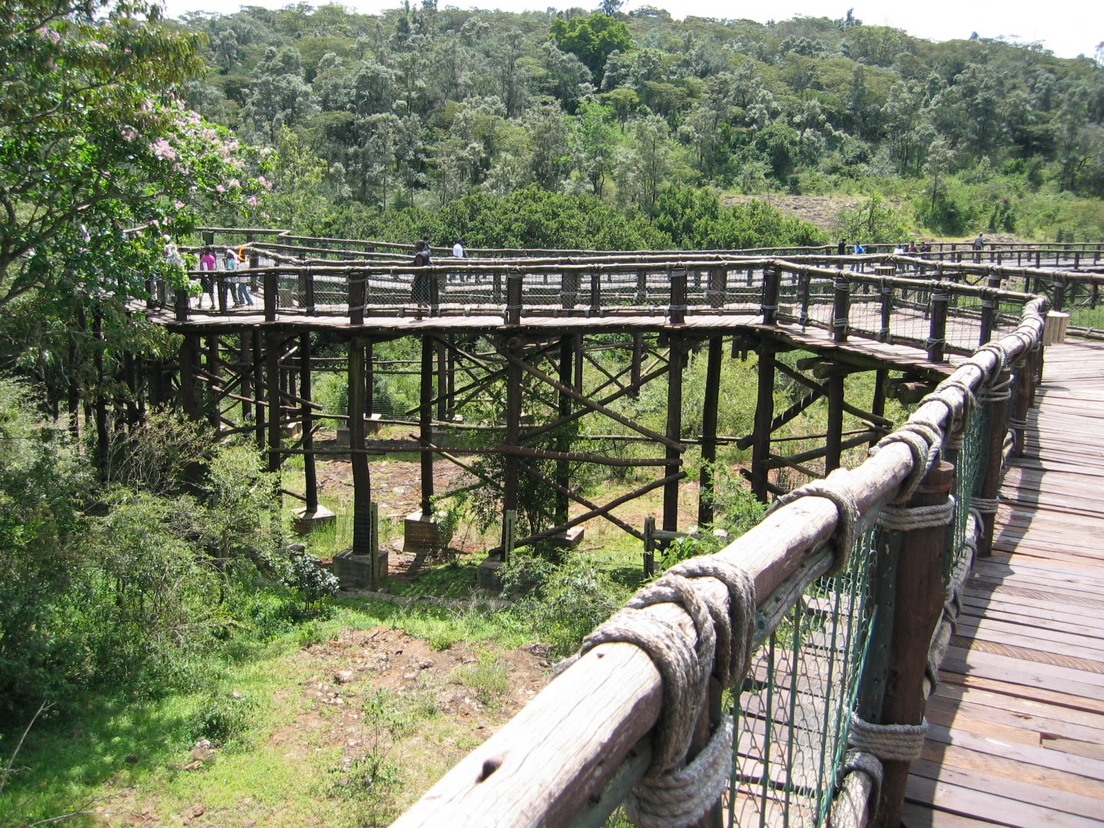Greers in Kenya: Nairobi Safari Walk - Two trips on 8 and 26 December 2010