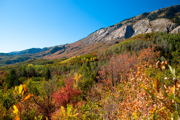 Ogden Valley, Utah Offers 360 Degrees of Natural Adventure: Utah Fall ...