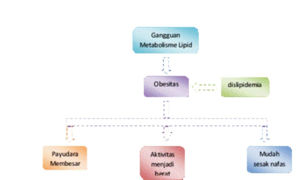 Brebes Medical Blogger's: “gangguan metabolisme lipoprotein dan obesitas”