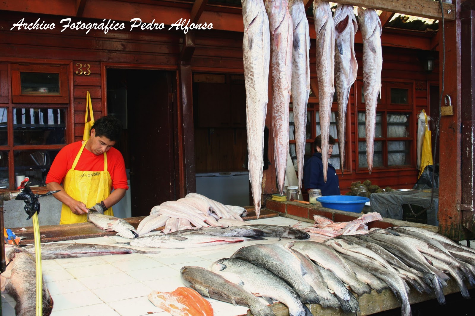 Zorro Corredero de Cadalso de los Vidrios: Mercado de Angelmó en Puerto ...