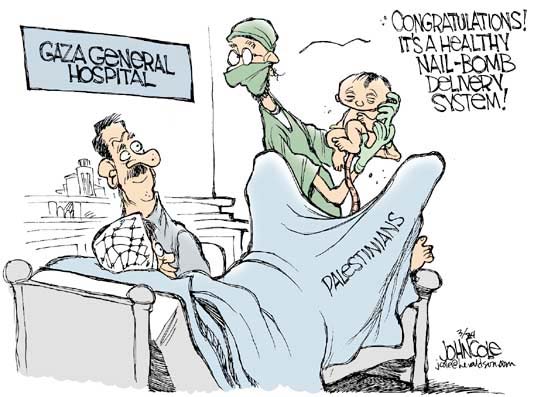 Anything And Nothing: Cartoons: More mad muslims....endless supply of them