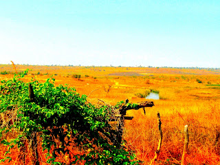 Cores em tons de Cinza