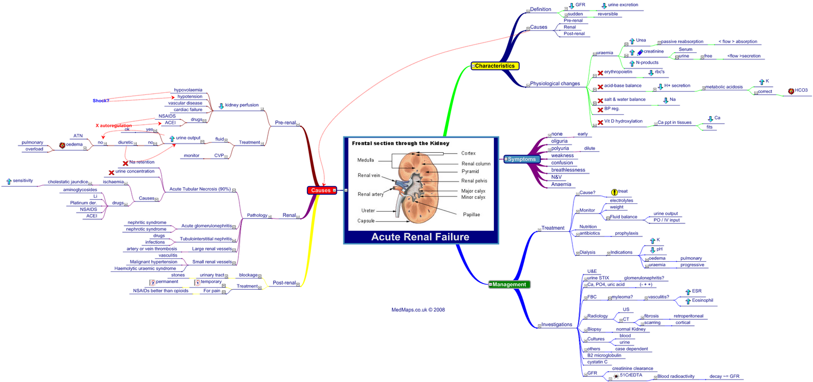 Mind map of Acute Renal Failure
