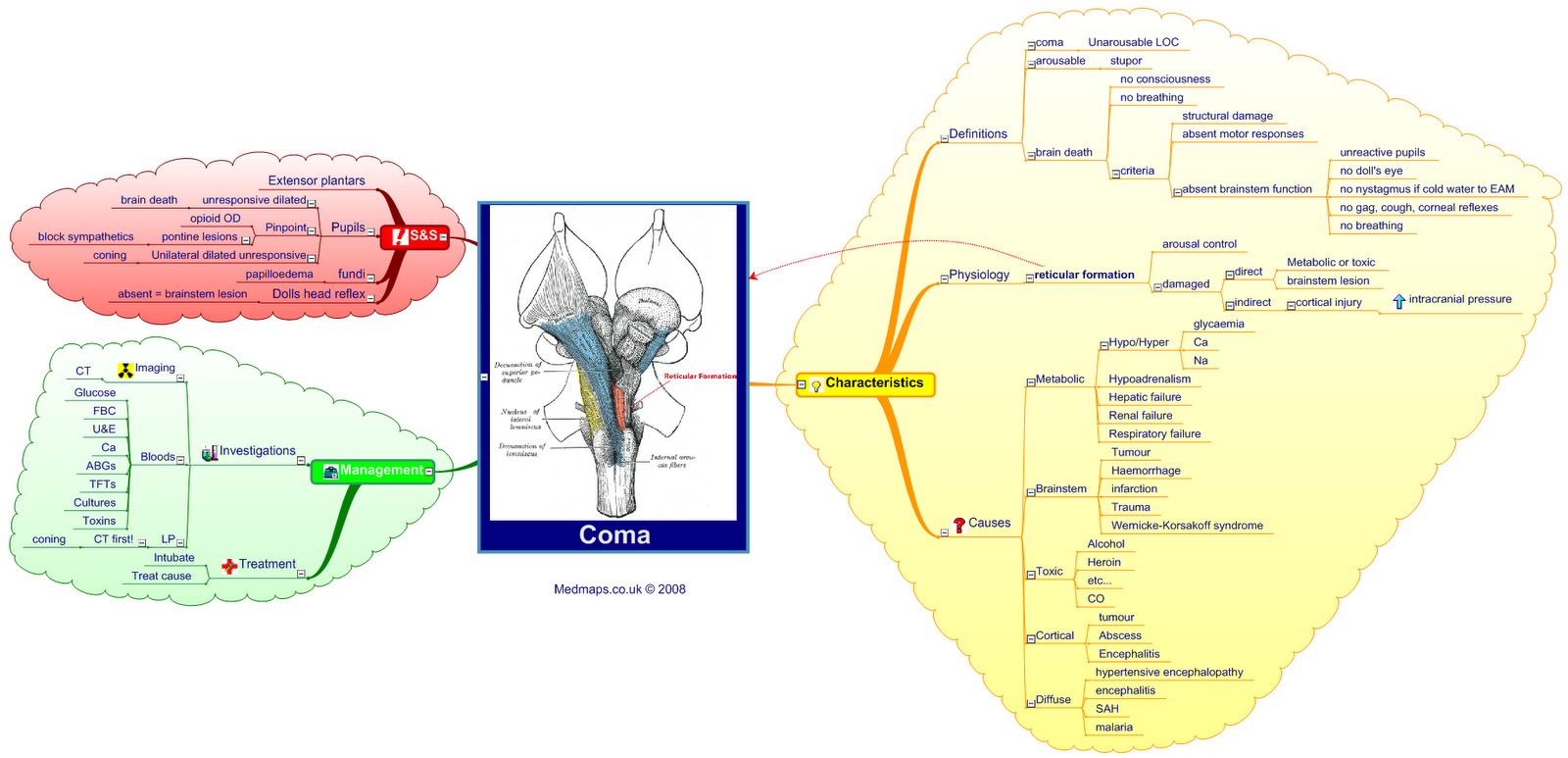 Mind map of Coma