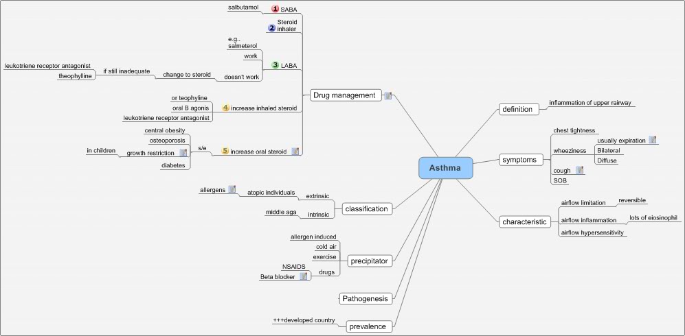 Asthma Concept Map