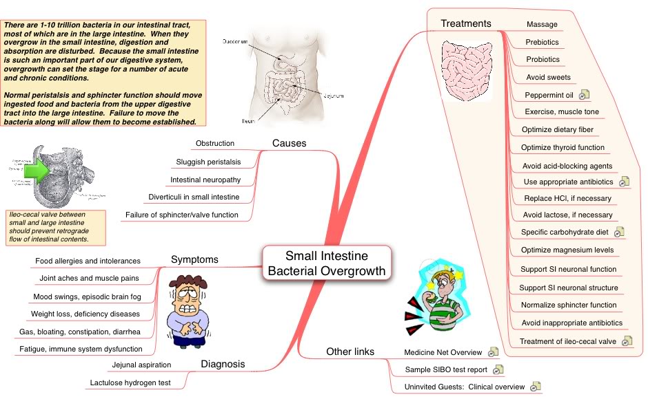 Mind map of Small Intestinal Bacterial Growth