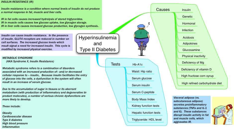 Mind map of Hyperinsulinemia and Type II Diabetes