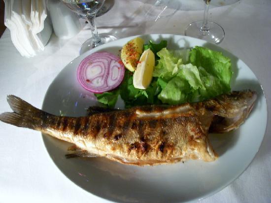 Plovkarenje ribolov: Roštiljska Riba Recept