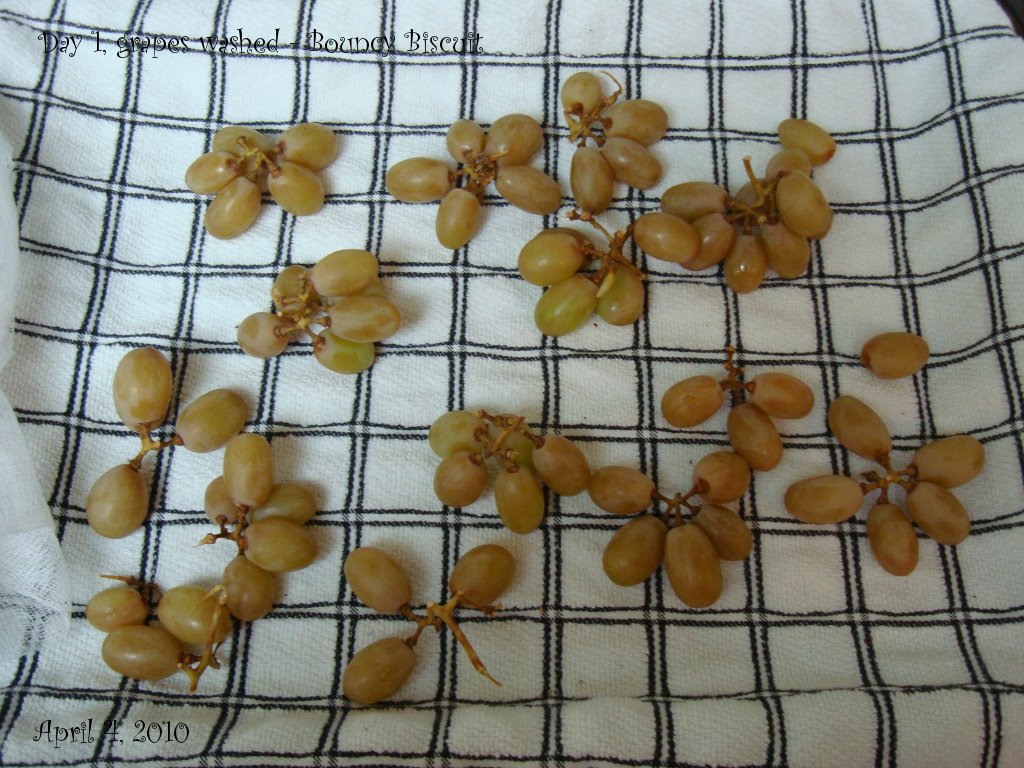 Home Cooking Experiment: Homemade sun-dried raisins