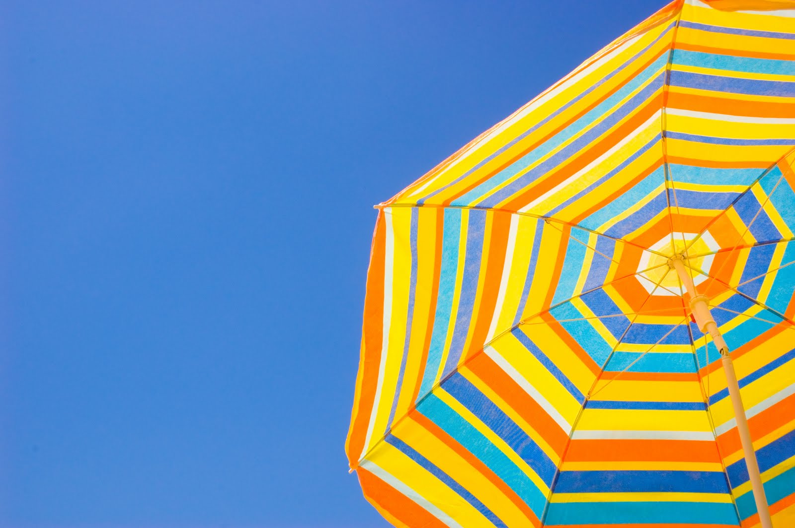 Scott Rhodes Illustrator