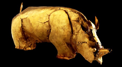 Cunkuri: Save Mapungubwe