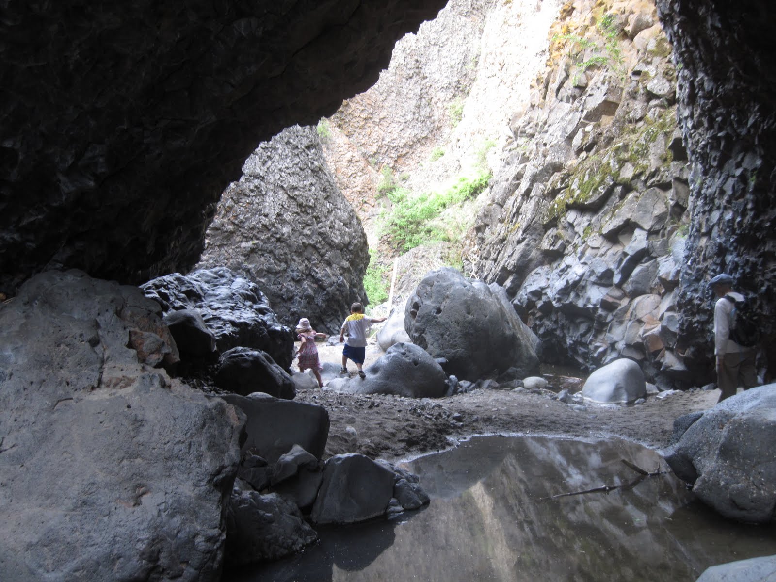 The Sunflower Society: Exploring Deep Creek