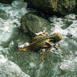 @maz!ng $cienc€: Preserve Your Body In Ice Like Otzi