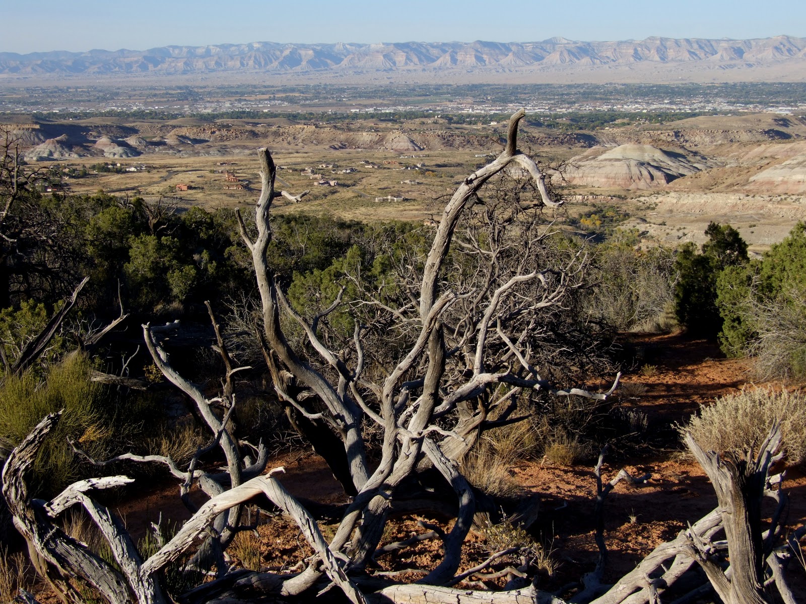 Skunk Tracks: Fall in Grand Junction