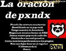 PXNDX: InTeGrAnTeS De pAnDa