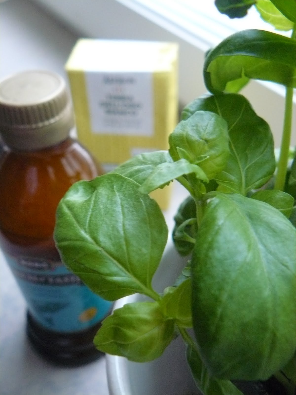 Sweet Home Sweden: Lite mera mat