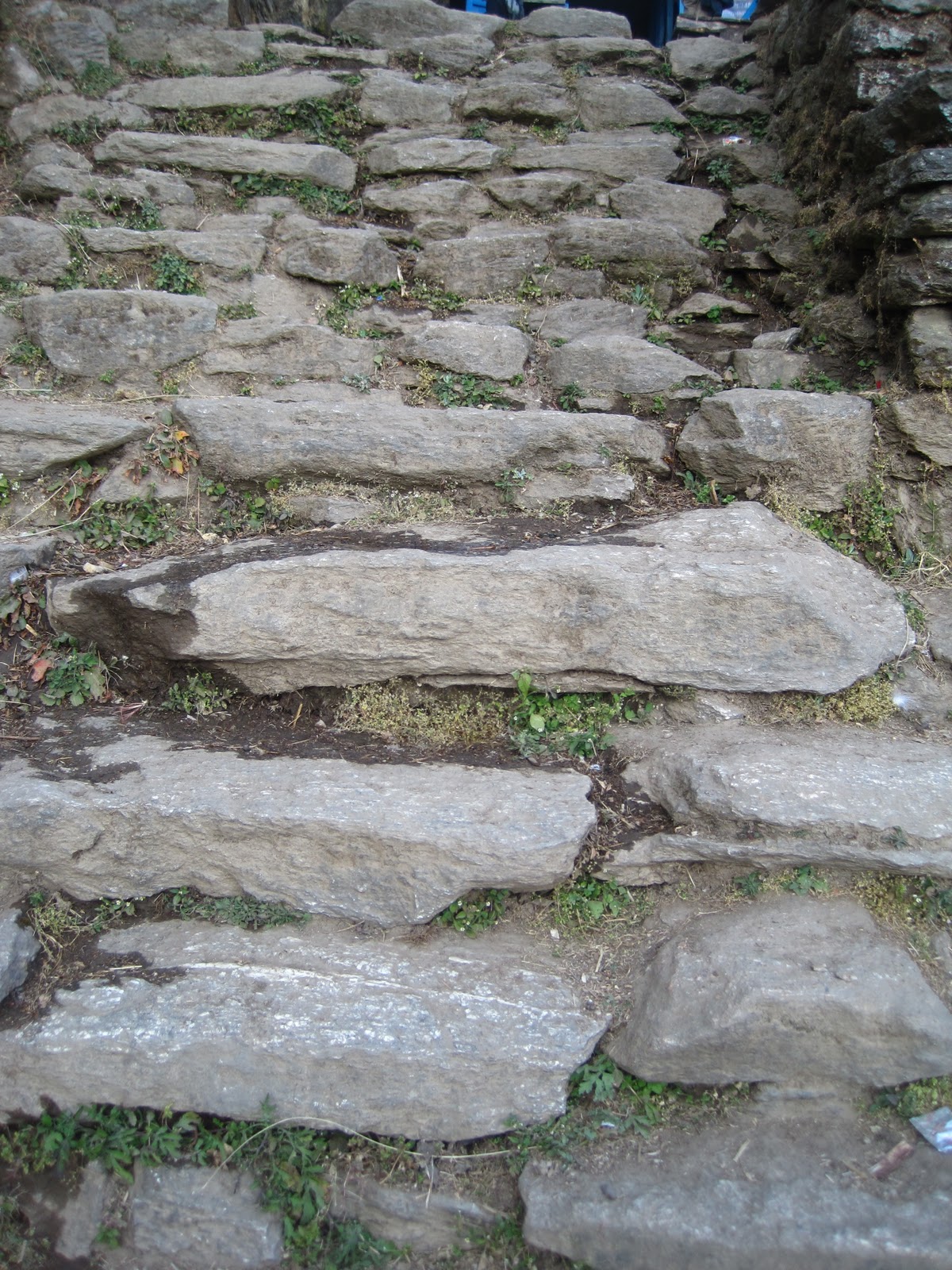 Dubai: it's me! in the UAE!: Nepal 6: stone steps from Naya Pul to Ulleri