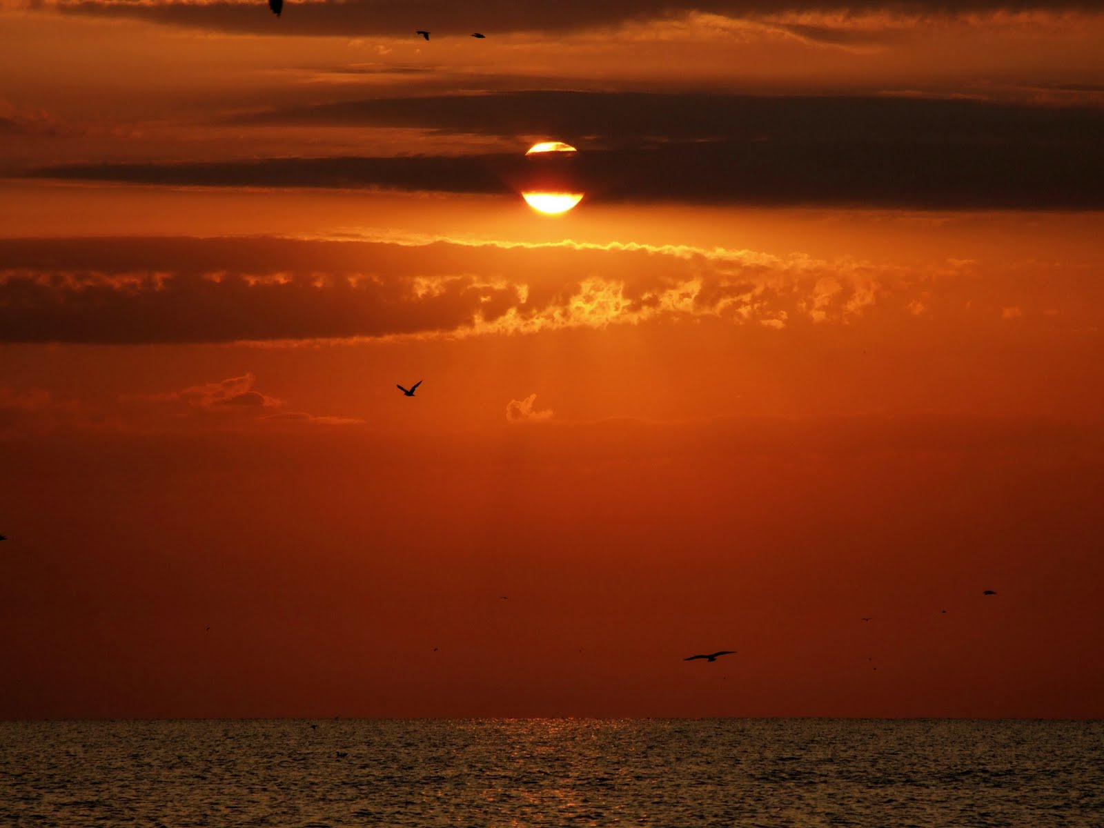 CĂLĂTORII: Răsărit de soare în Olympic Beach