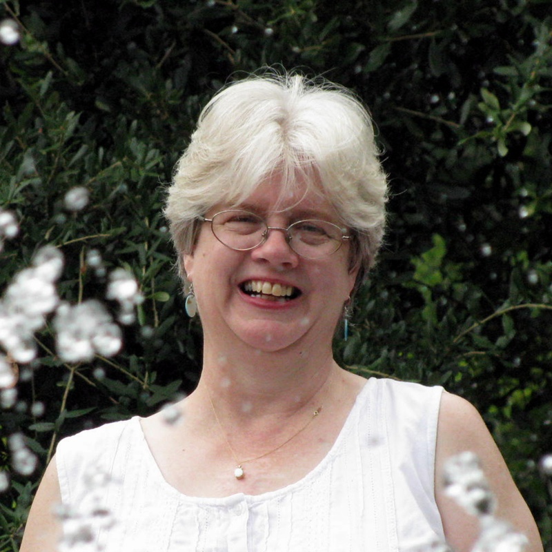 NaNoWriMo Stories: Sanity Check, Guest Post by Amy Mullis | WOW! Women ...