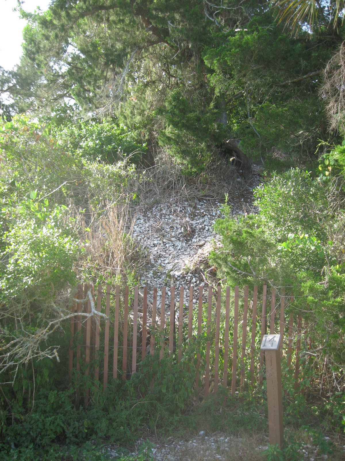 Dig It!: Turtle Mound