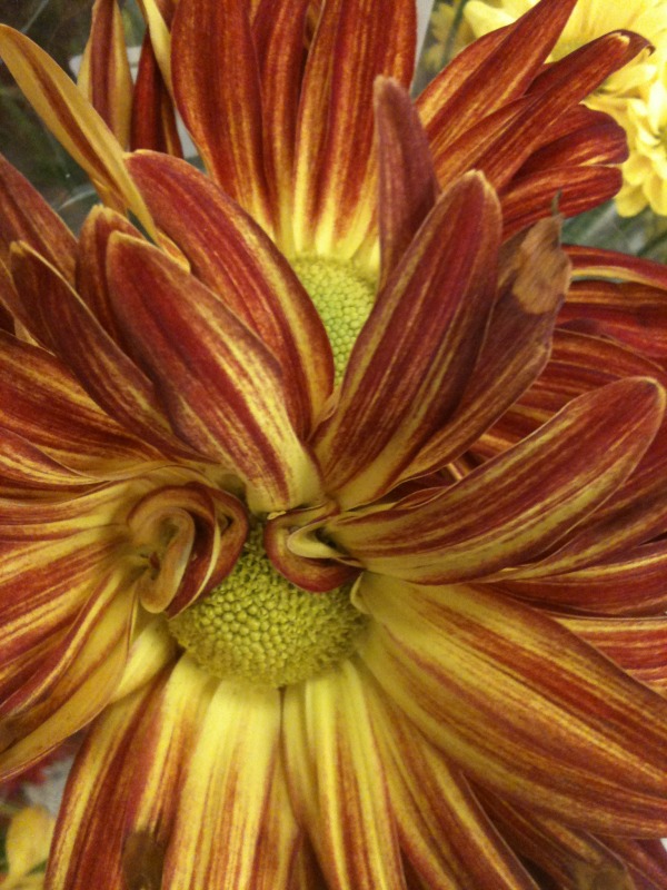 The Helpful Art Teacher: COLOR THEORY 101