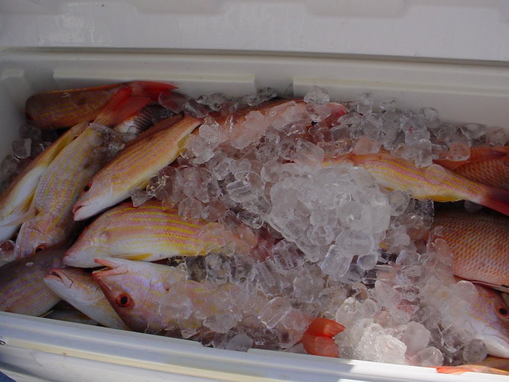 BIG RICH DORRIS: 2010